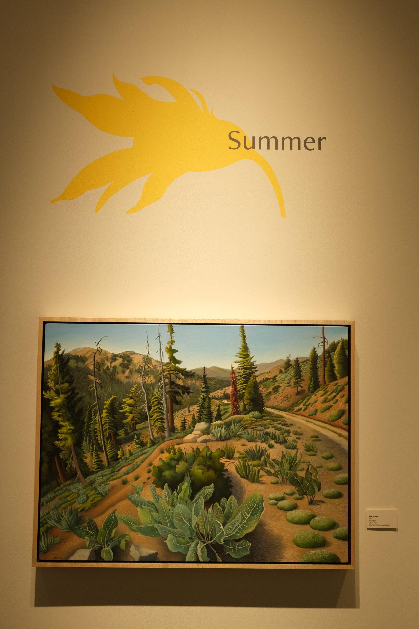 Phyllis Shafer | The Nature of Time at the Lilley Museum – PHOTOS – The ...